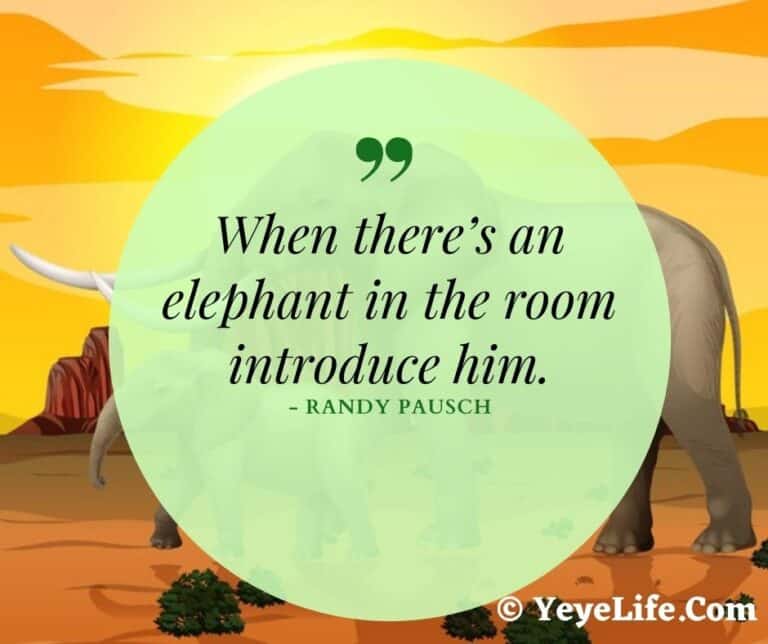 250+ Elephant Quotes - Inspiring and Motivational - YeyeLife