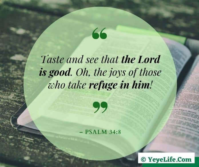 250+ TOP & MOST FAMOUS Bible Quotes and Verses - YeyeLife