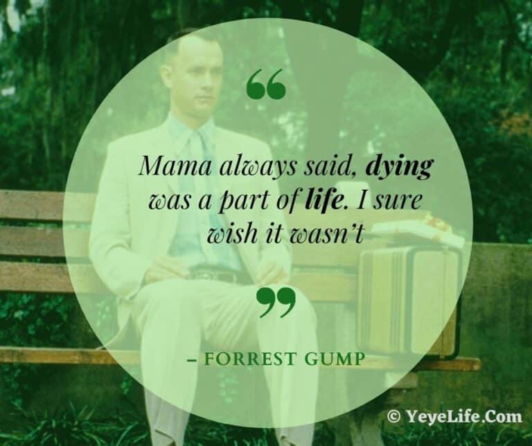 150+ Forrest Gump Quotes and Sayings - YeyeLife