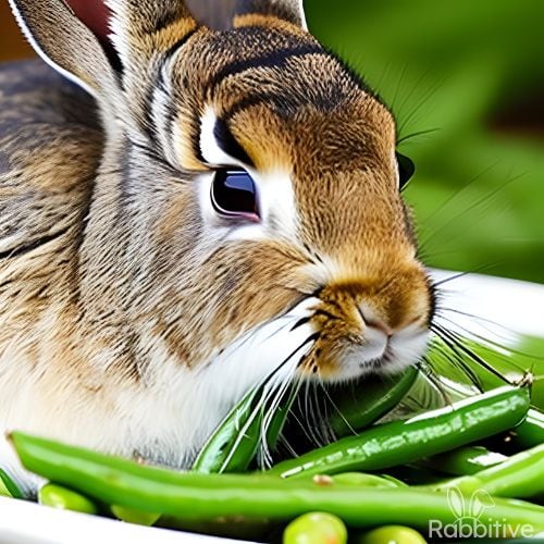 Can Rabbits Eat Green Beans? (Benefits & Risks to Avoid)