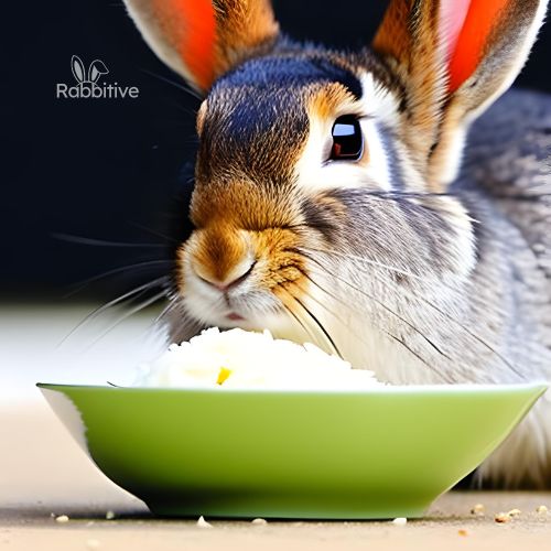 Should Rabbits Eat Rice? (Risks Involved)